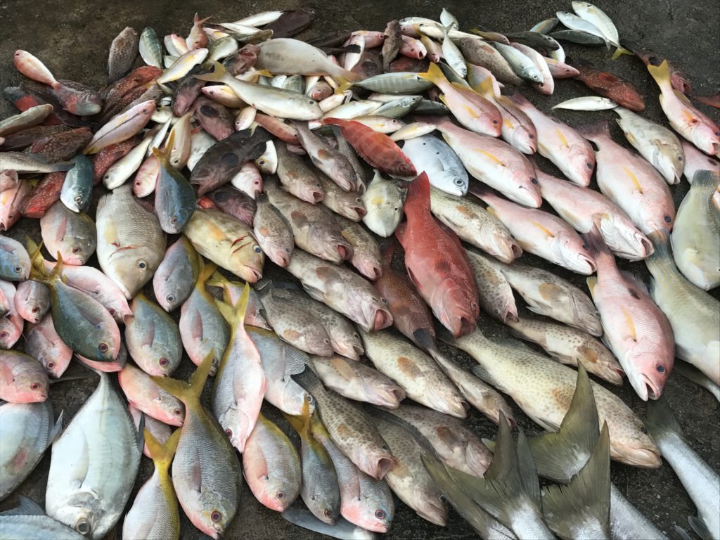 3 Days Fishing at Rompin Tioman - Beginners Experience - Follow My ...